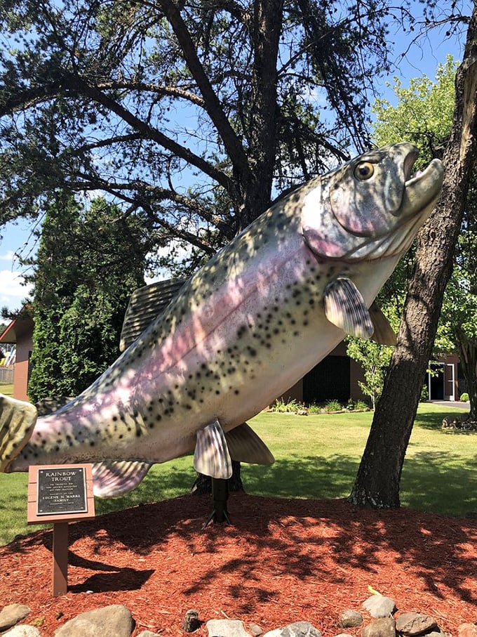 A rainbow trout sculpture shows the attention to detail that makes each fish display at the museum a work of art.