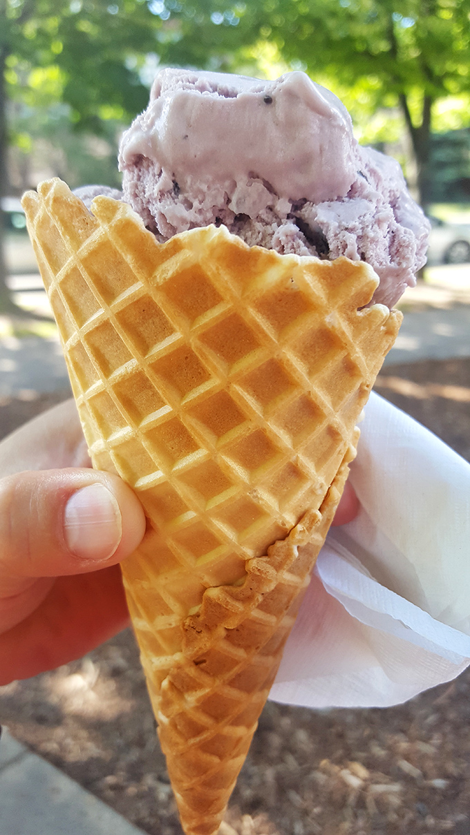 Ice cream that demands to be eaten slowly, thoughtfully, reverently. The kind of dessert that makes you temporarily forget about your cholesterol numbers.