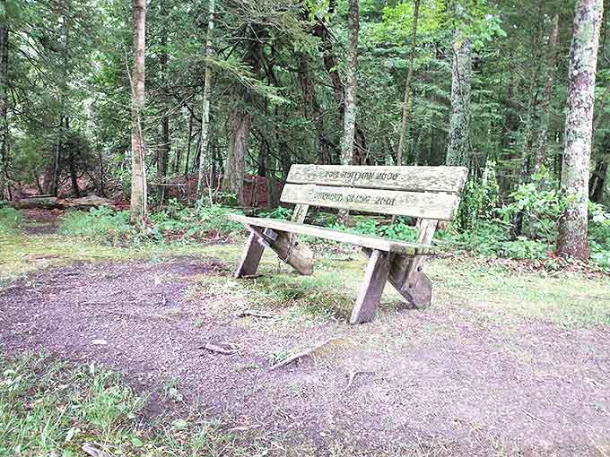 This weathered bench invites weary hikers to pause and absorb the forest's wisdom &ndash; no WiFi password required.