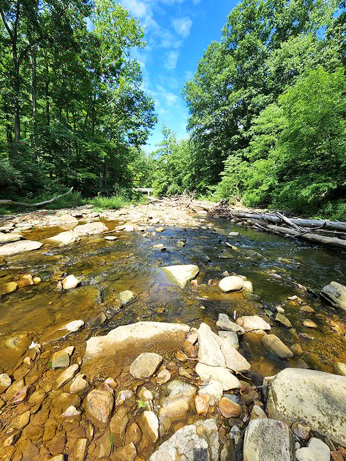 Crystal clear waters of Brandywine Creek invite contemplation – nature's own meditation app without the subscription fee.