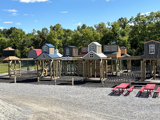Rooster Run Ropes Course: Test your balance and bravery on this aerial adventure that turns farmhands into temporary acrobats.