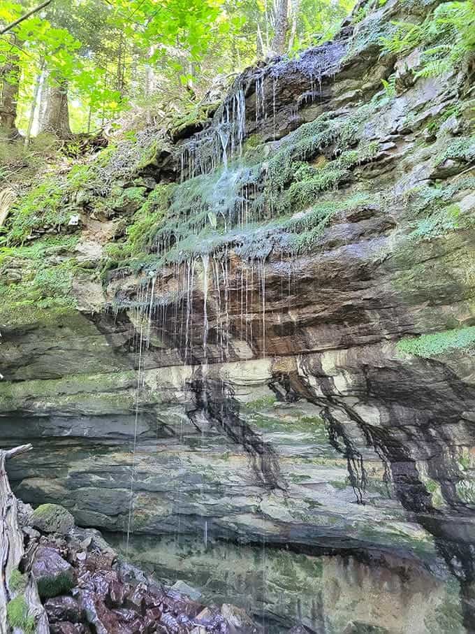 Water cascades over layered sandstone in delicate streams, creating a seasonal waterfall that looks like something from a fantasy movie set in Middle Earth.