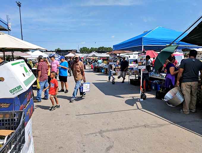 The weekend crowd navigates a maze of possibilities, each shopper on their own treasure hunt through this retail wonderland.