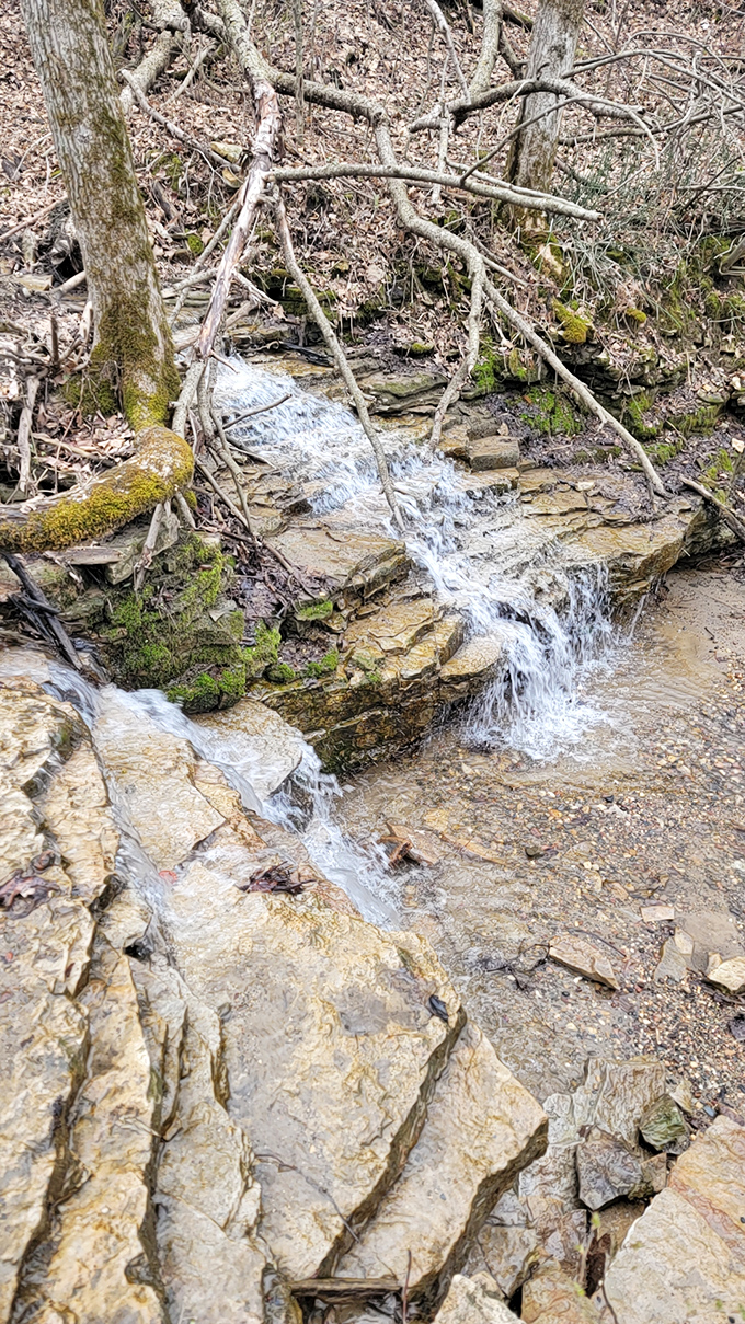 This modest cascade creates nature's perfect soundtrack &ndash; the original white noise that no app can truly capture.