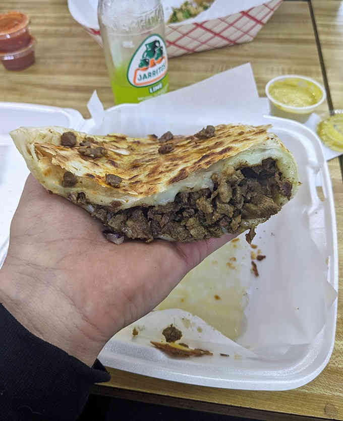 Golden-brown quesadillas reveal their treasure of melted cheese and seasoned meat &ndash; crispy outside, gooey inside, and utterly irresistible.