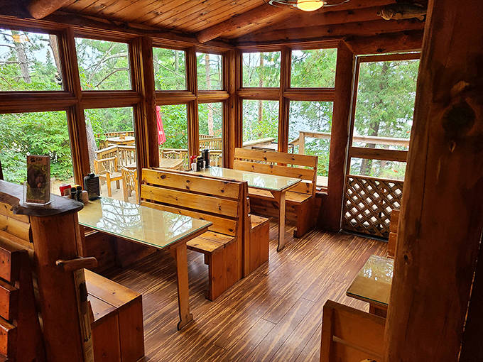 Sunlight streams through floor-to-ceiling windows, illuminating the pine-paneled dining room where nature becomes part of the meal.