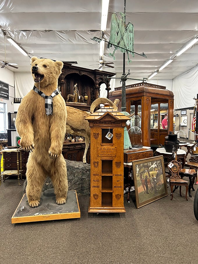Not your average shopping companion! This impressive taxidermy bear stands guard over antique furniture with surprising dignity and presence.