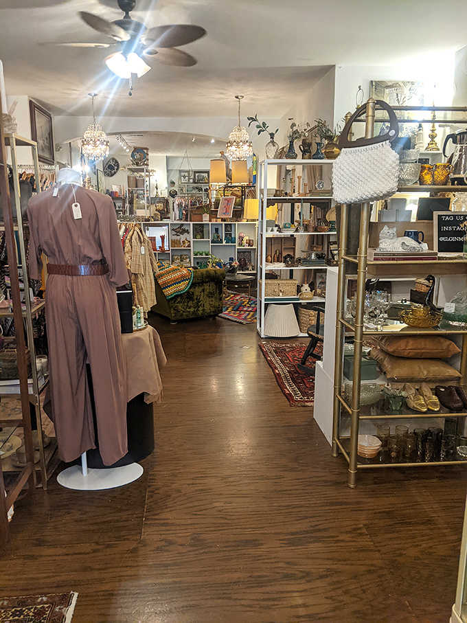 Shelves overflow with eclectic treasures from wooden oars to colored glassware, each item waiting for someone to recognize its potential and give it new purpose.