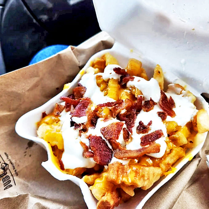 Loaded fries buried under an avalanche of cheese and bacon, requiring multiple napkins and the temporary suspension of all dignity concerns.