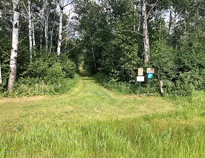 Trails wind through beautiful terrain, inviting exploration when horizontal beach time needs a vertical adventure break.