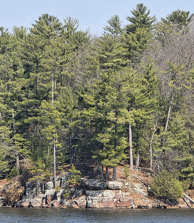 Towering pines stand guard over rocky shores, their reflections dancing on the water like nature's own mirror ball.