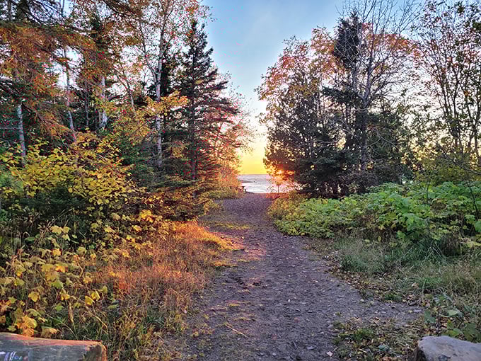 Follow paths less traveled through dense forests of pine, birch, and maple that whisper secrets to those who pause to listen.