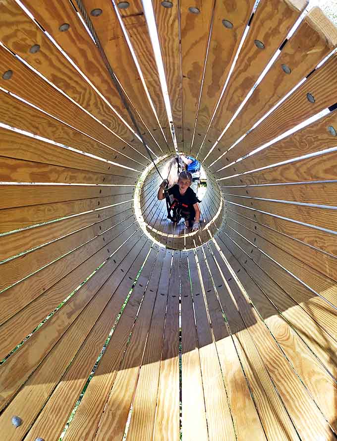 This wooden tunnel transforms ordinary walking into an adventure, framing the forest beyond like a living photograph.