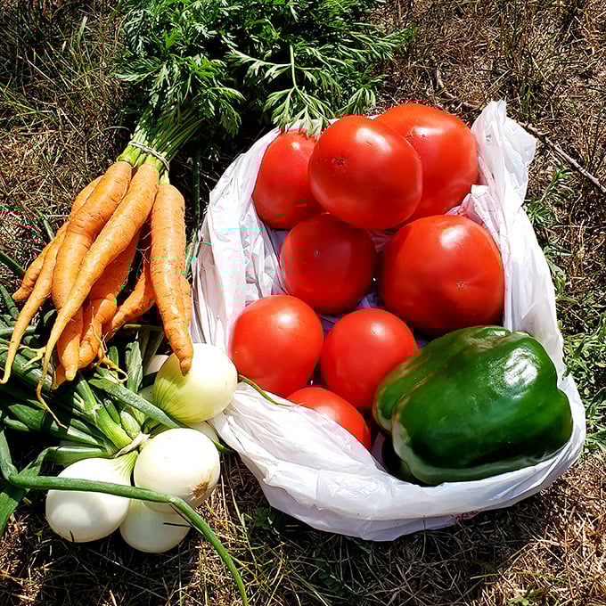 Fresh vegetables showcase what Wisconsin soil produces when farmers who know their craft get involved, making grocery store produce look sad by comparison.
