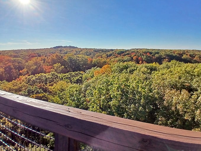 9. view from the elevated walkway