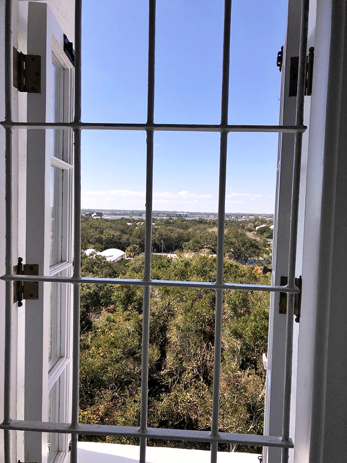 The reward for conquering those stairs: a breathtaking vista of St. Augustine, the Atlantic Ocean, and marshlands stretching to the horizon.