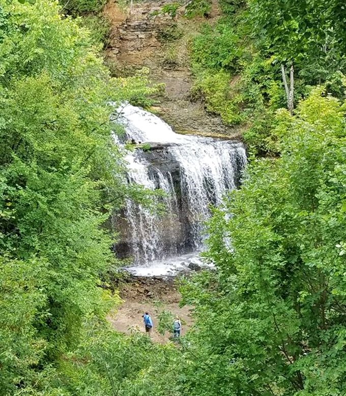 From above, the falls appear like a white ribbon cutting through the lush green forest, with tiny visitors providing scale.