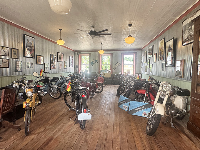 The museum's rustic wooden floors and exposed brick walls provide the perfect backdrop for these mechanical misfits and automotive anomalies.