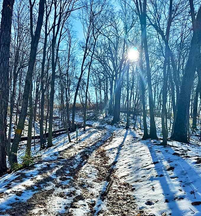 Winter's embrace turns Voyageurs' waterways into highways of ice, opening a whole new dimension of exploration for the cold-hardy adventurer.