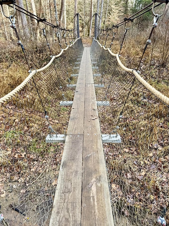 This suspension bridge offers equal parts adventure and "maybe I should have done more squats" as it sways gently with each cautious step.