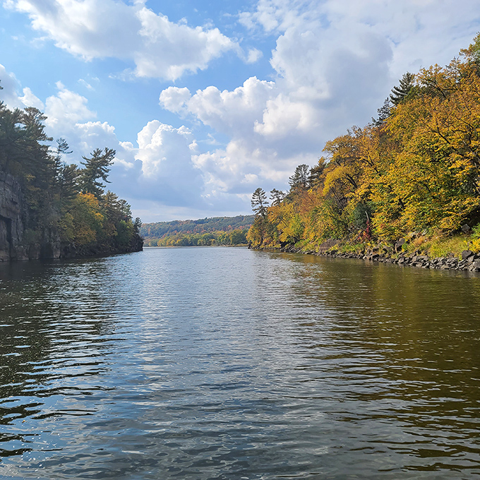 The St. Croix reflects autumn's glory like a mirror, doubling the visual feast as cliffs stand guard over waters that have flowed for millennia.