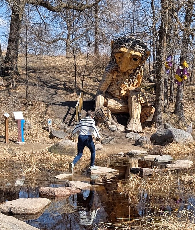 Winter reveals the soul of this woodland giant, patiently waiting by stepping stones as a visitor crosses. Nature's playground meets mythical guardian in this serene Minnesota moment.