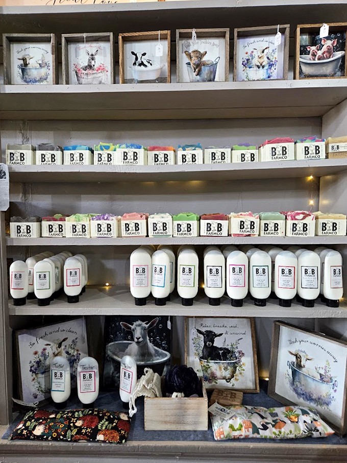 Natural body care products line the shelves like soldiers of self-care, their simple packaging promising honest ingredients without marketing hype.