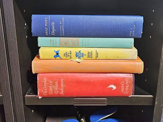Books arranged in rainbow order create an irresistible display of vintage knowledge, from classic literature to forgotten household manuals.