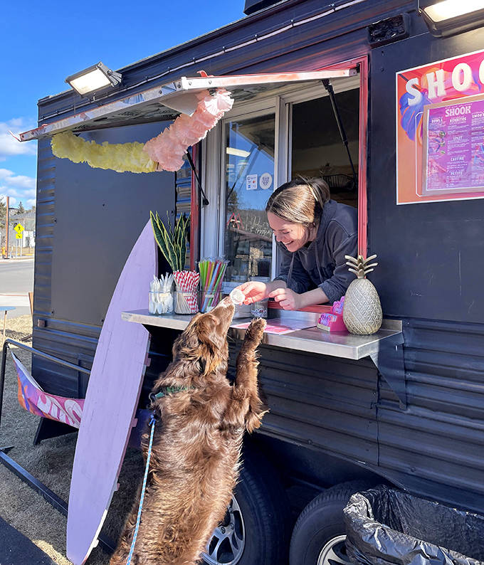 Even four-legged friends get the VIP treatment at Shook, where every customer – regardless of species – receives a warm welcome.