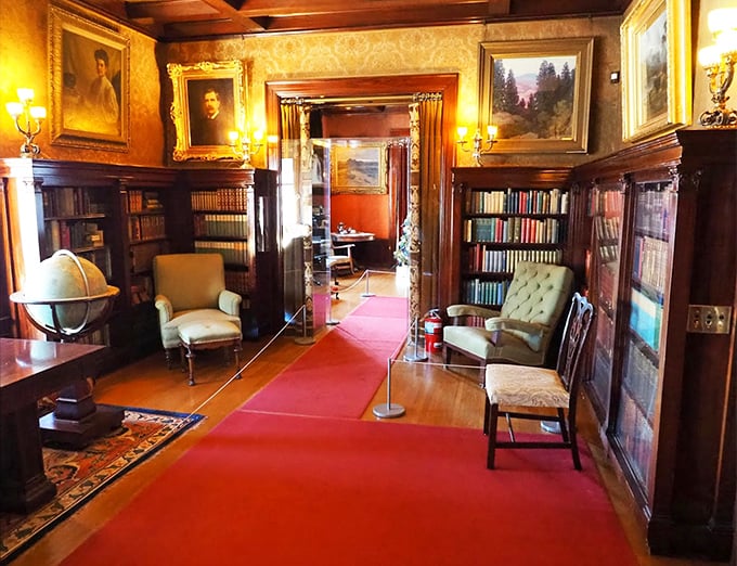 The library's floor-to-ceiling bookshelves and comfortable reading chairs create the perfect setting for intellectual debates or secret naps.