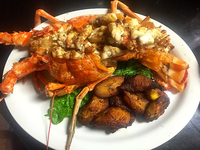 Lobster: This magnificent crustacean, split and grilled to perfection, makes a compelling case for wearing a plastic bib in public.