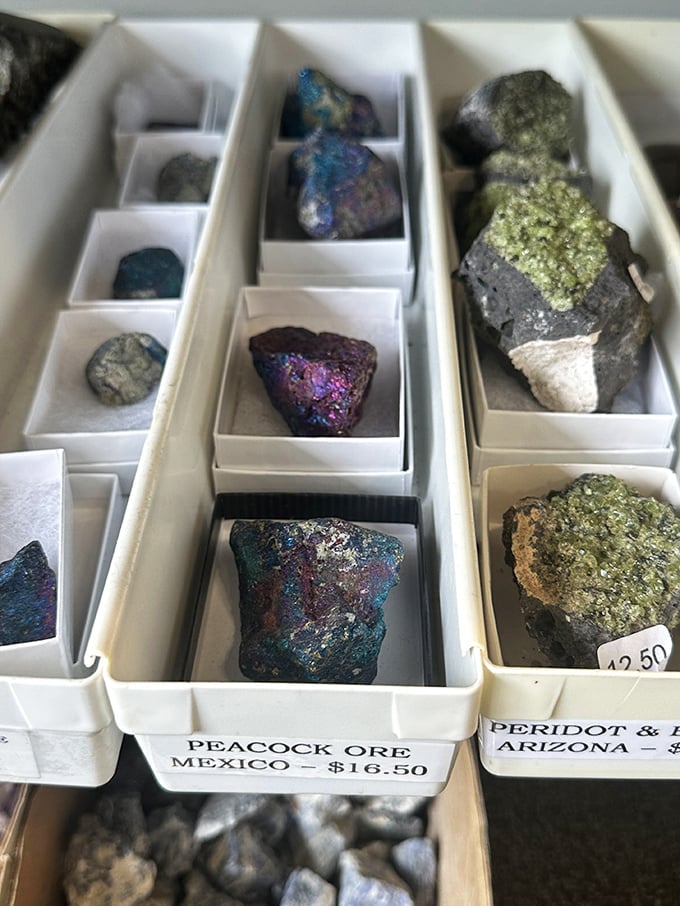 Peacock ore from Mexico displays nature's most dazzling chemistry experiment &ndash; iridescent blues and purples that shift with every movement.