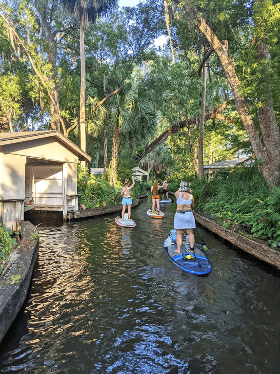 This Enchanting Canal In Florida Is So Surreal, You Might Think You’re ...
