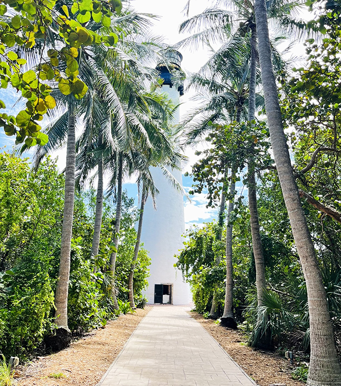 Palm trees stand at attention along this pathway, creating a tropical honor guard leading to Florida's maritime guardian.