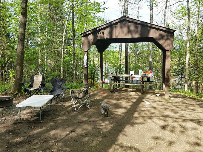 The park's rustic picnic pavilion stands ready for family gatherings, with the soundtrack of rustling leaves and flowing water included free of charge.