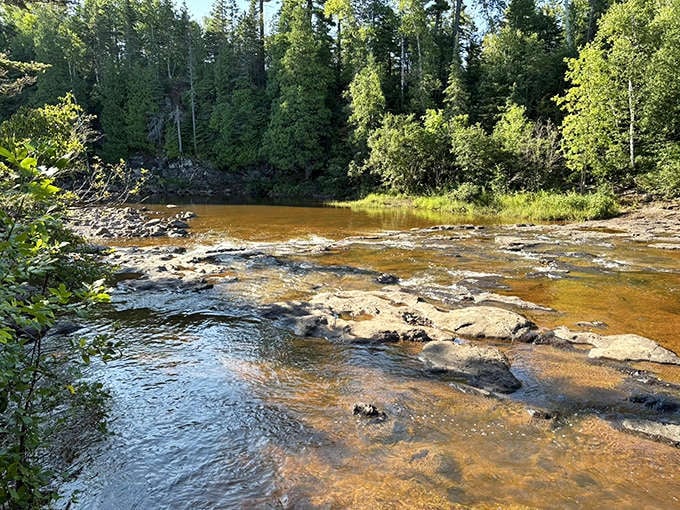 The Gooseberry River meanders peacefully between falls, its clear waters revealing colorful stones and occasional fish darting between sun-dappled shadows.