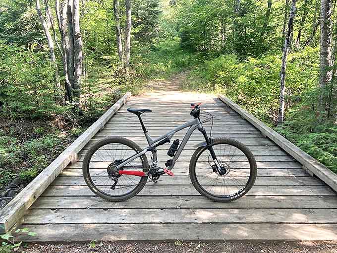 A sturdy wooden bridge offers safe passage through the wilderness, inviting mountain bikers to explore deeper into the forest.