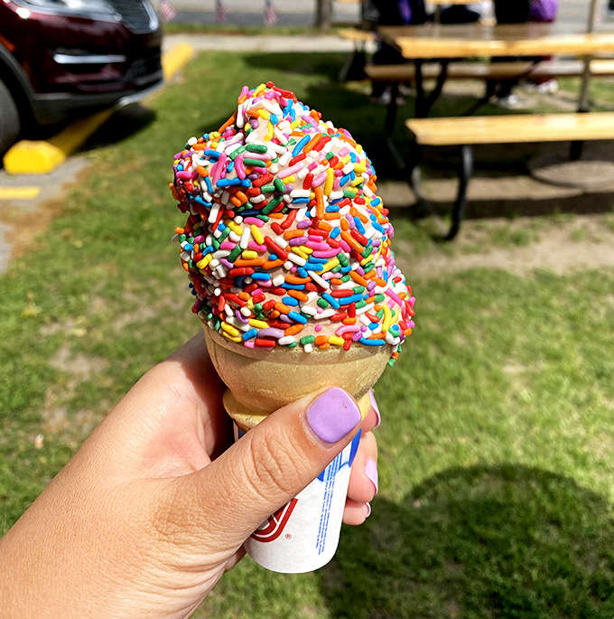 Rainbow sprinkles aren't just toppings &ndash; they're tiny edible confetti celebrating the joy of summer in Michigan.