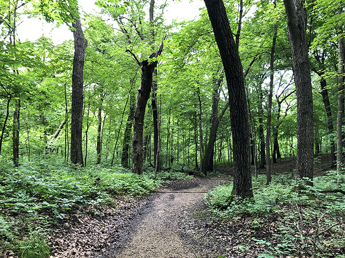 Trails wind through forests that have been perfecting their ambiance since before your great-grandparents were even a thought.