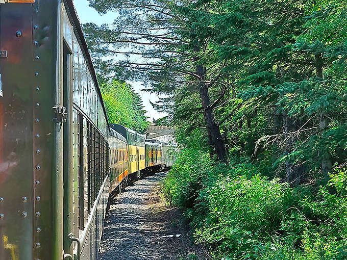 The gentle curve of tracks through dense forest creates a sense of mystery &ndash; what breathtaking vista waits around the bend?