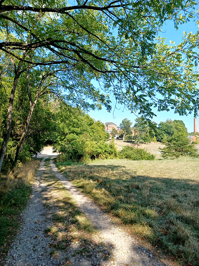 This sunlit path beckons explorers deeper into the woods, promising discoveries around every gentle curve.