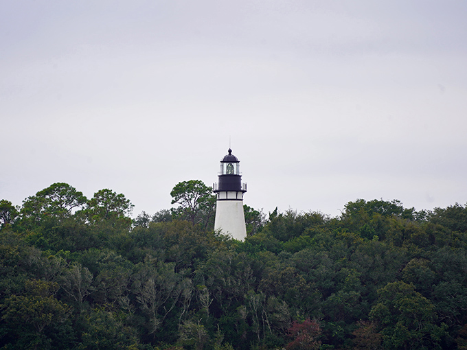 Peeking through the tree line, the lighthouse plays hide-and-seek with visitors approaching from inland paths.