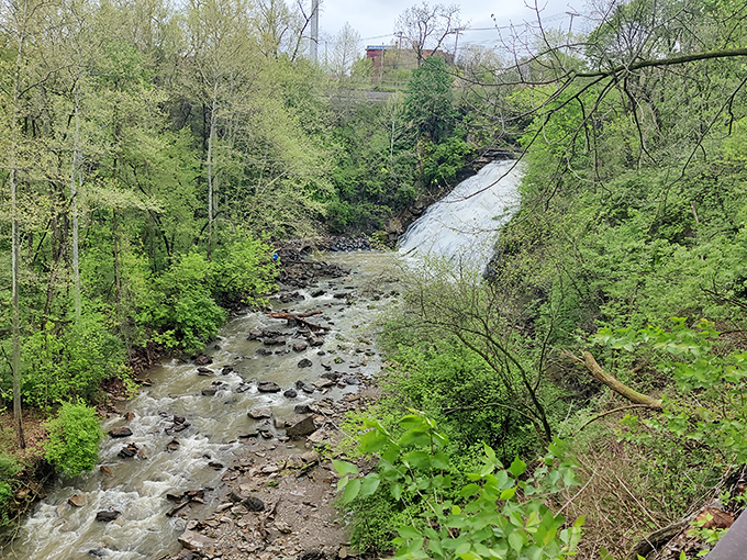 The creek continues its journey beyond the falls, creating peaceful ripples over smooth stones worn by centuries of flowing water.