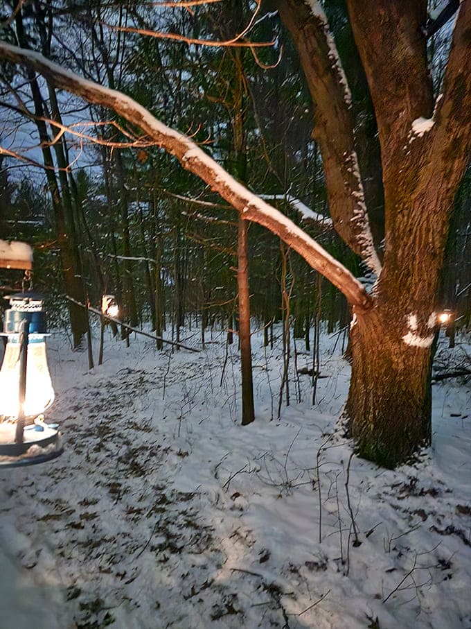 Evening lanterns along the snowy trail prove that winter hiking doesn't have to mean stumbling around in the dark.