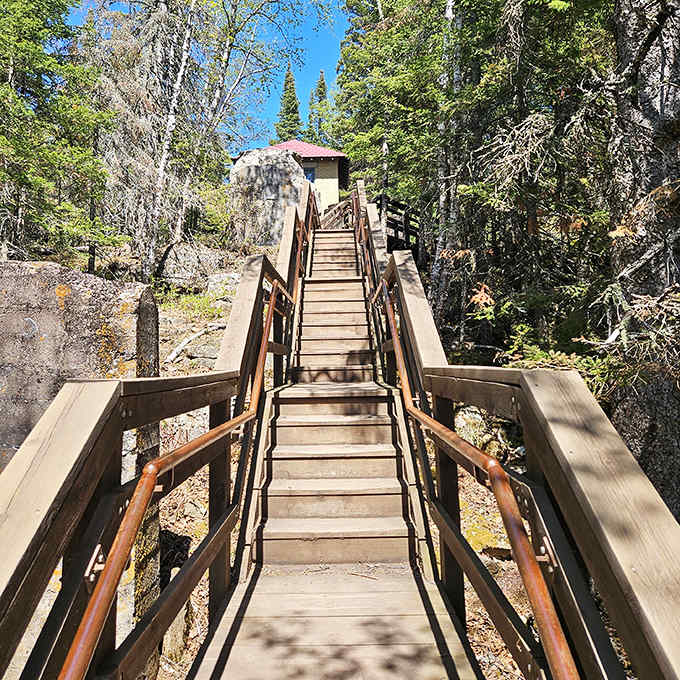 These wooden stairs lead to adventure—or at least some really good photo opportunities and mild cardiovascular exercise.
