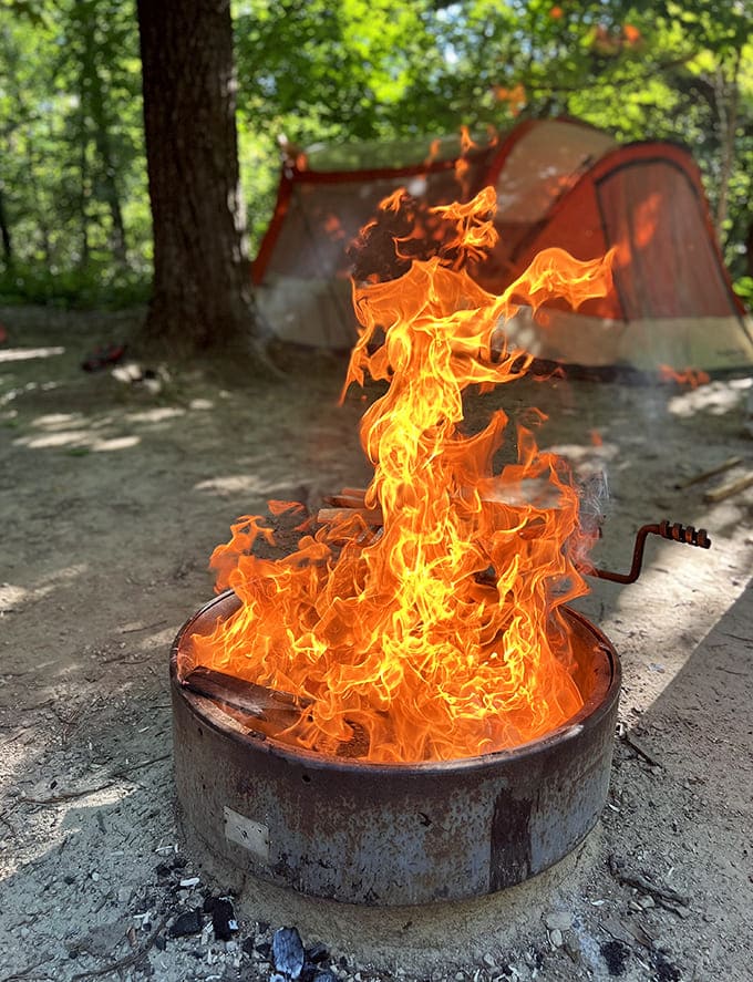 Nothing says "authentic outdoor experience" like flames dancing in a fire ring, nature's original entertainment system since forever.
