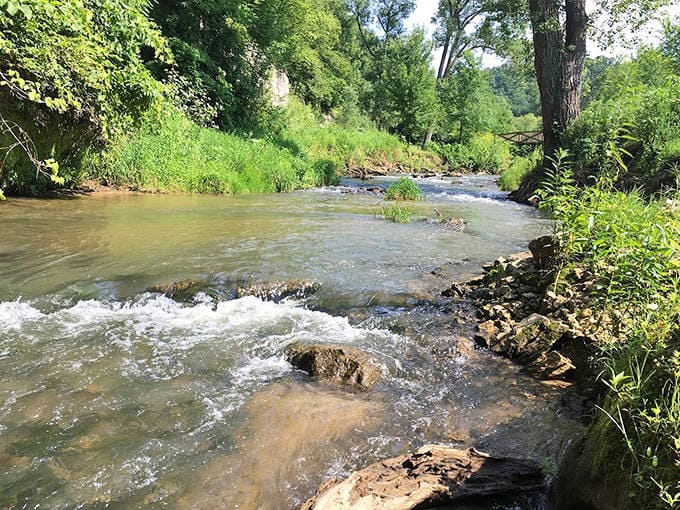 The stream below Como Falls offers its own gentle magic &ndash; clear waters that would make bottled water companies jealous.