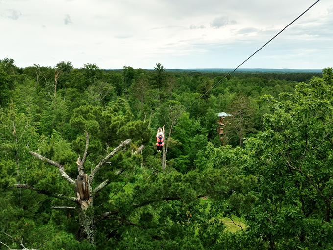 Brainerd Zip Line Tour 2