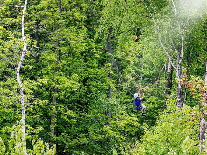 Brainerd Zip Line Tour 4