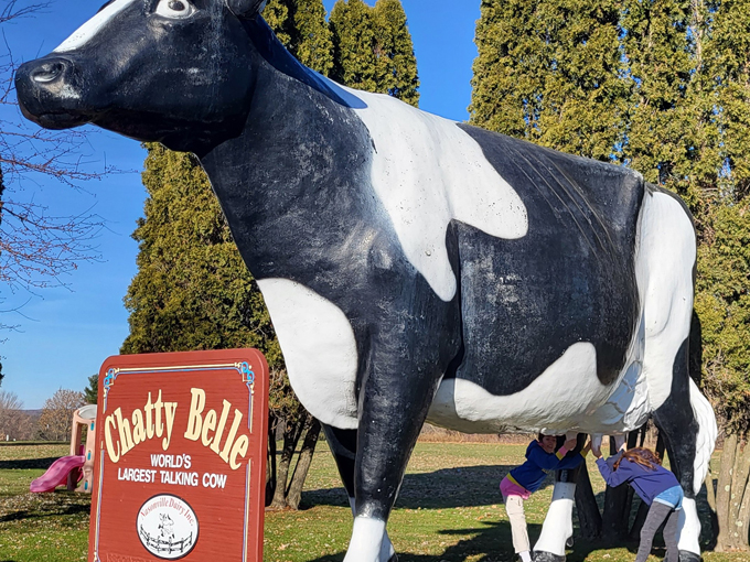 Chatty Belle 4